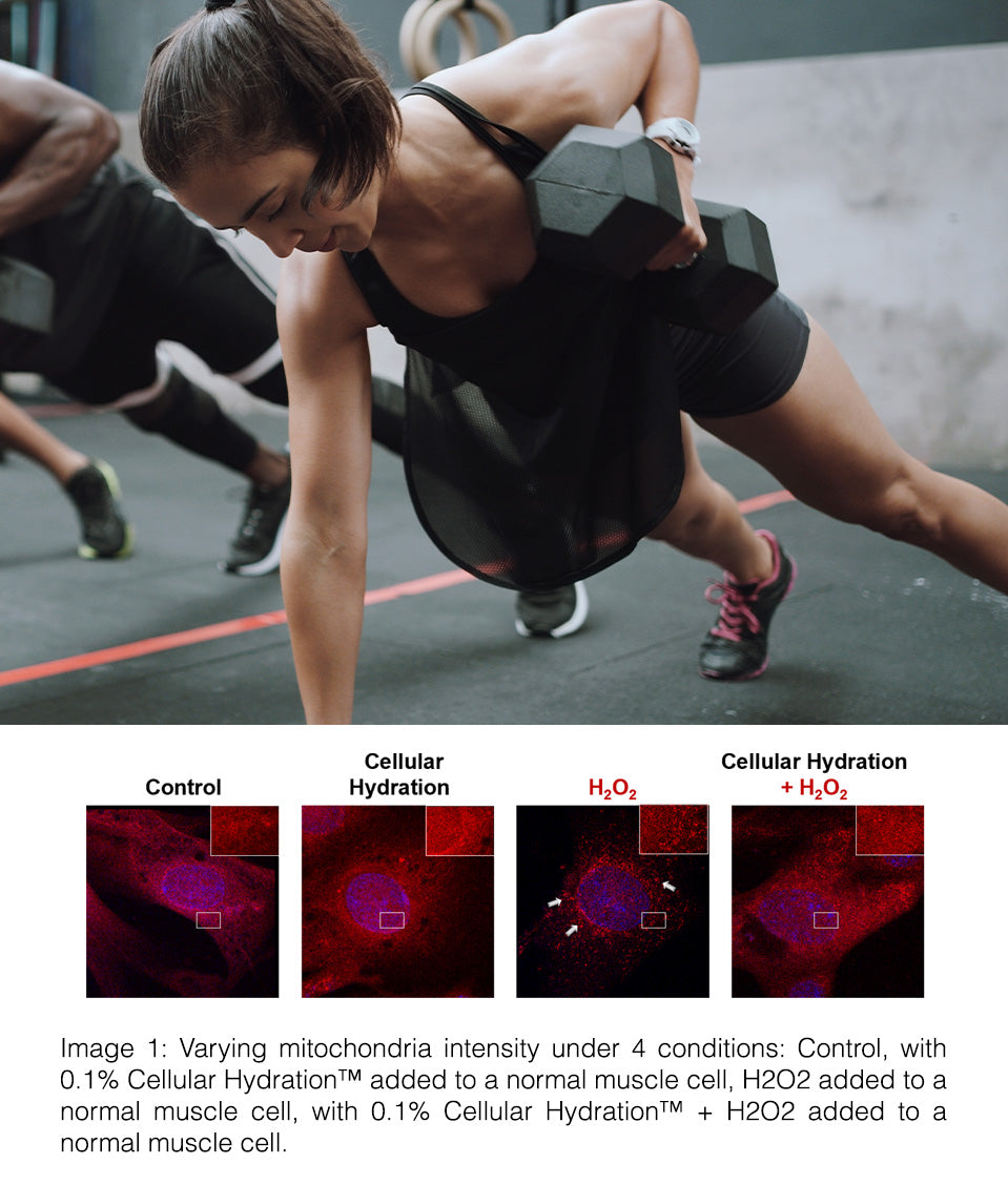 Science – Cellular Hydration