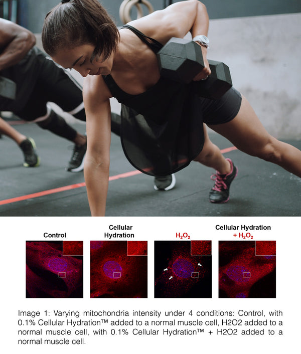 Science – Cellular Hydration